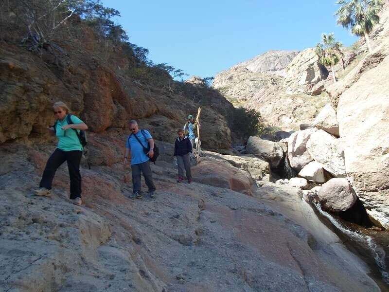 From Loreto: Canipole Cave Painting Guided Hike - Key Points