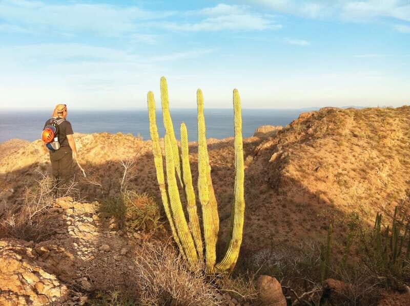 From Loreto: Canipole Cave Painting Guided Hike - An In-Depth Look at the Tour Experience
