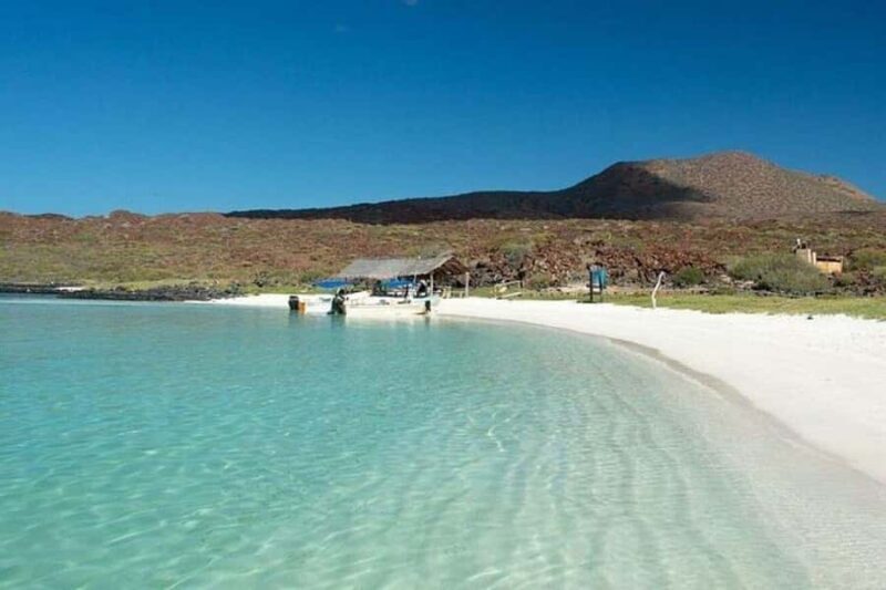 From Loreto: Coronado Island, Sea Lions and Snorkeling Tour - Final Thoughts