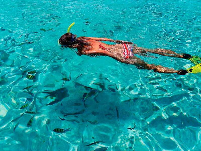From Loreto: Coronado Island Snorkel - The Itinerary — What to Expect Day by Day