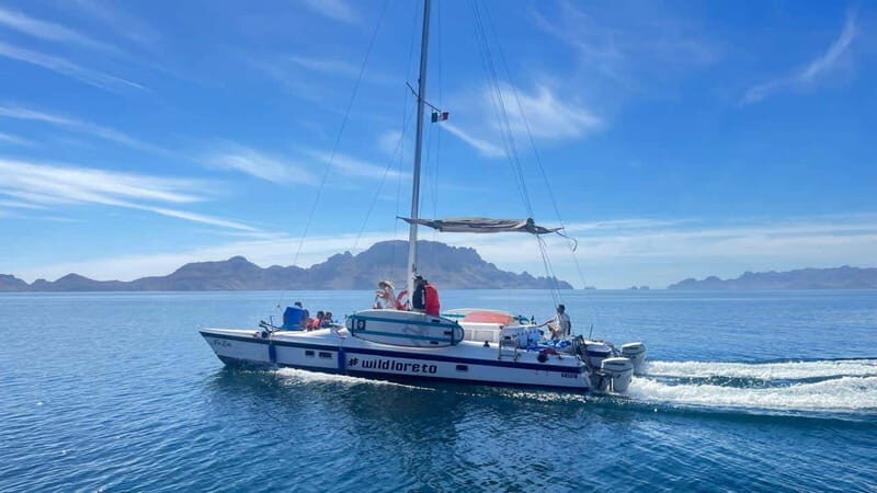 From Loreto: Snorkeling Catamaran Cruise - Reviews Speak for Themselves