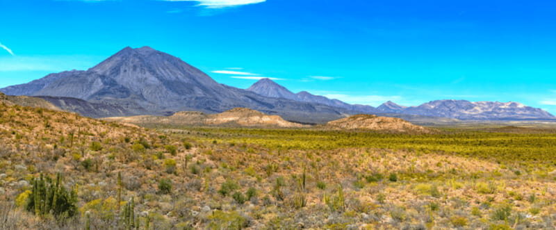From Los Cabos: City Tour La Paz, Balandra and Todos Santos - Discovering Baja: What to Expect