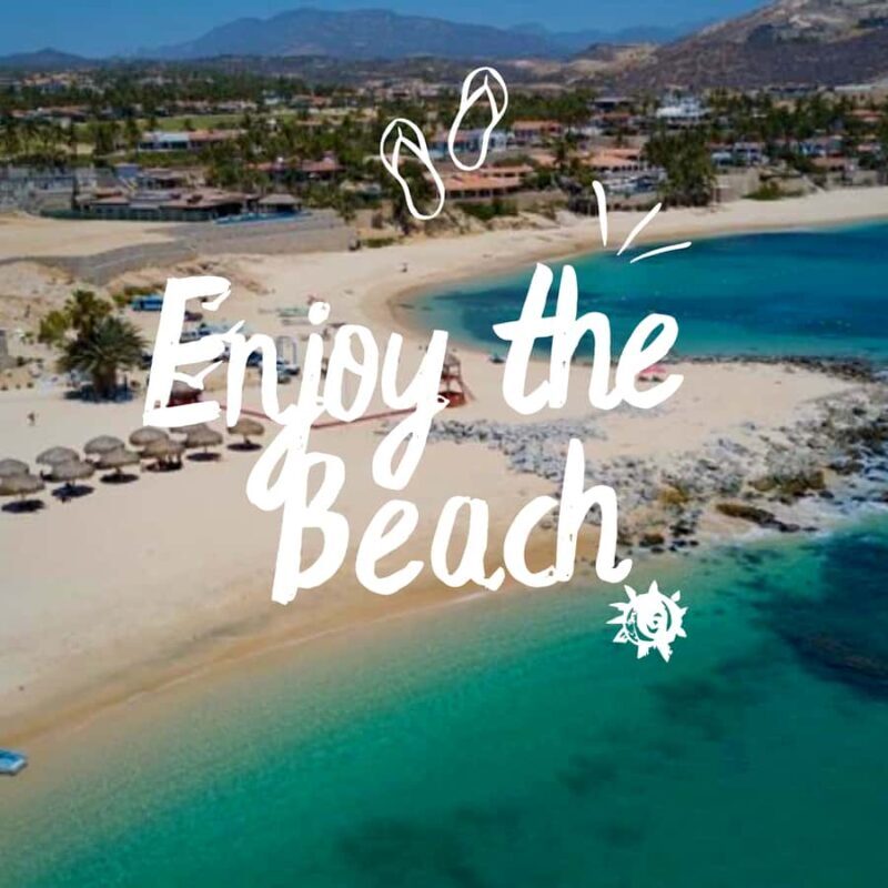 From Los Cabos: La Palmilla Beach Time & Drinks - Final Thoughts: Is This Tour Right for You?