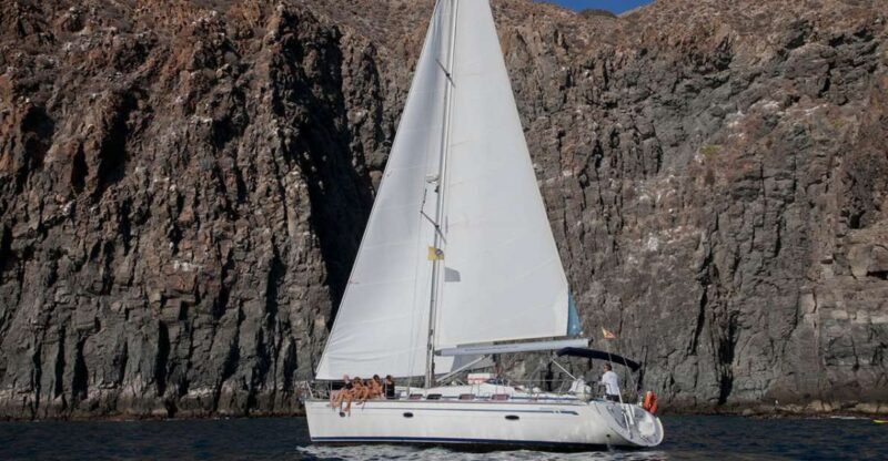 From Los Gigantes: Whale Watching Sailboat Cruise - From Los Gigantes: Whale Watching Sailboat Cruise — A Detailed Review
