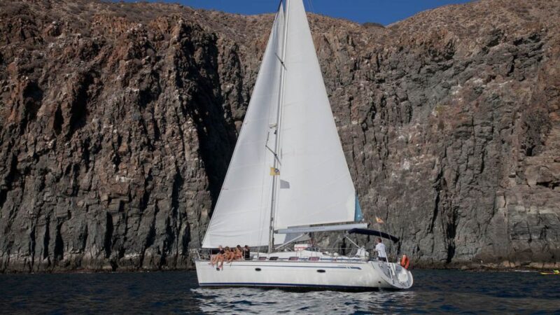 From Los Gigantes: Whale Watching Sailboat Cruise - The Sum Up