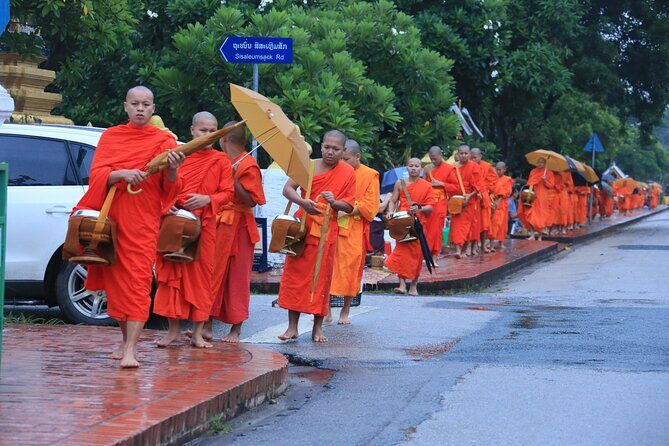 From Luang Prabang: 8-Day Laos Tour with Accommodation - Days 6-7: Elephant Encounters and Waterfalls in the South