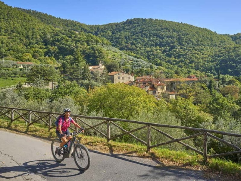 From Lucca to Pisa E-BIKE Tour + Pick-up & Drop-off by Van - Who Is This Tour Best For?