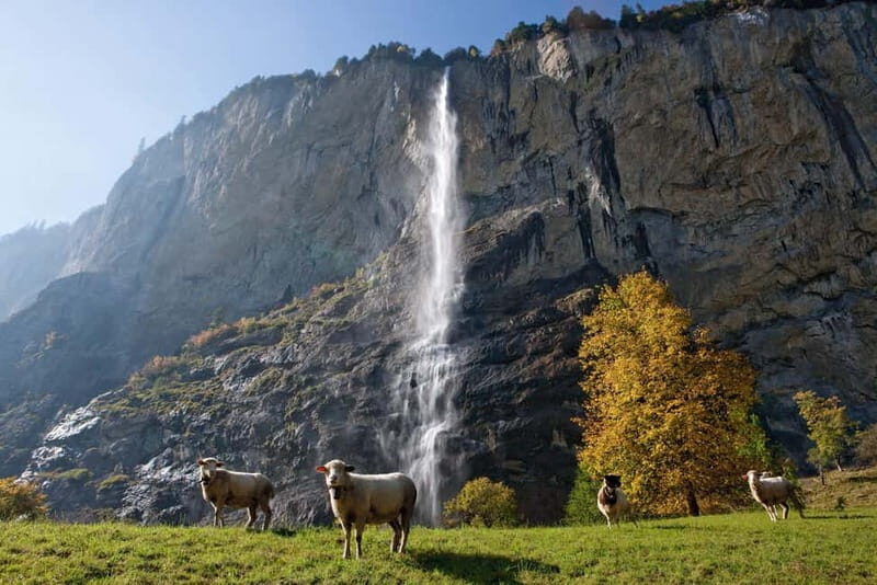 From Lucerne: Day Trip to Grindelwald & Lauterbrunnen - Who Should Consider This Trip?