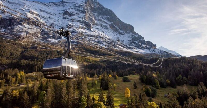 From Lucerne: Day Trip to Jungfraujoch  Top of Europe - Key Points