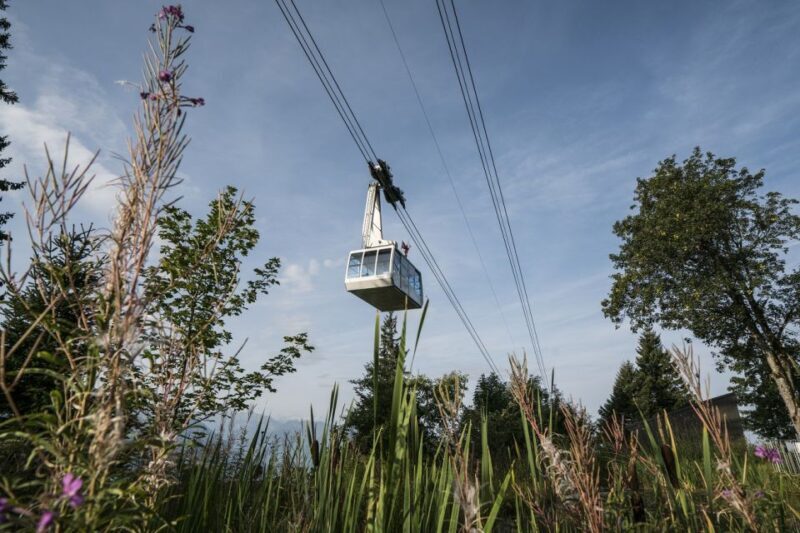 From Lucerne: Mount Rigi Day Trip with Cruise and Cable Car - Key Points
