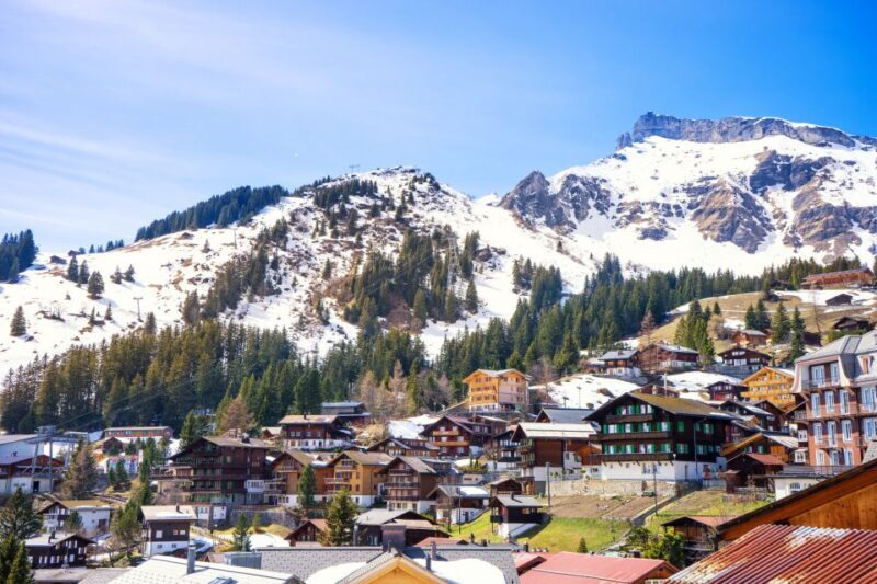 From Lucerne: Private Day Tour to Interlaken and Grindelwald - Analyzing the Experience Value