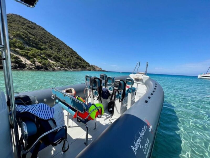 From Lumio: Les Agriates Desert Cruise with swimming - An Introduction to This Corsican Boat Cruise