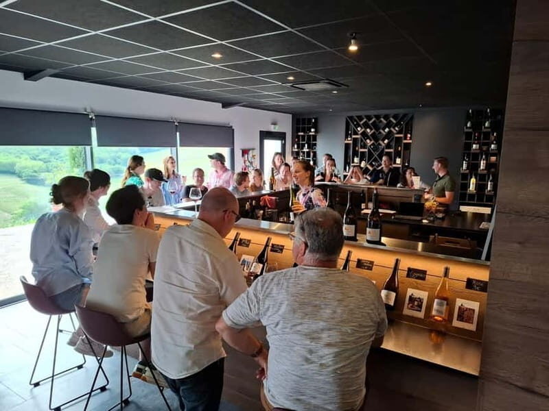 From Lyon: Beaujolais Wine Route Half-Day Tour - Key Points