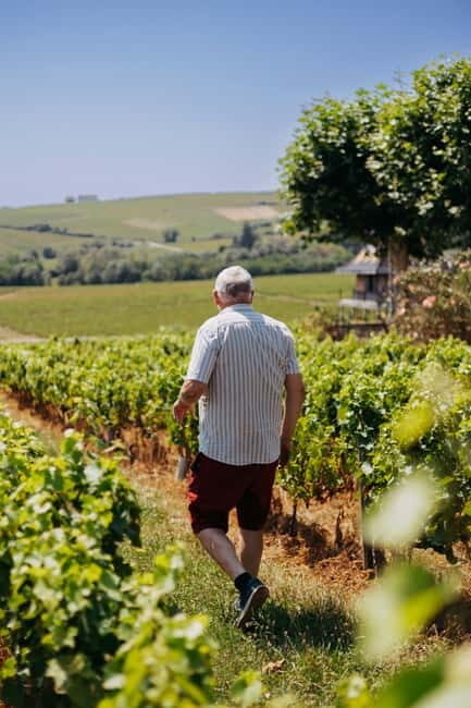 From Lyon: Beaujolais Wine Route Half-Day Tour - Practical Tips for Participants