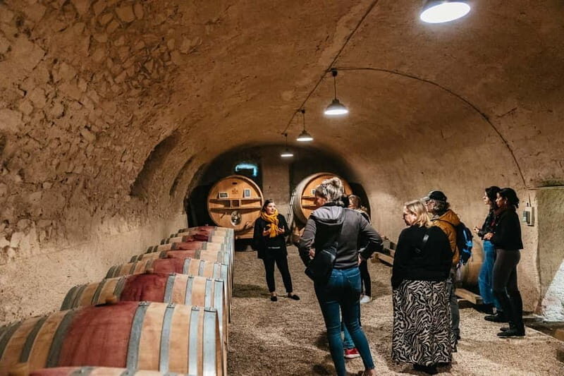 From Lyon: Beaujolais Wine Tour with Tastings - What the Tour Offers: A Deep Dive