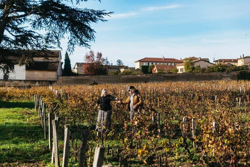 From Lyon: Beaujolais Wine Tour with Tastings - The Experience: What to Expect