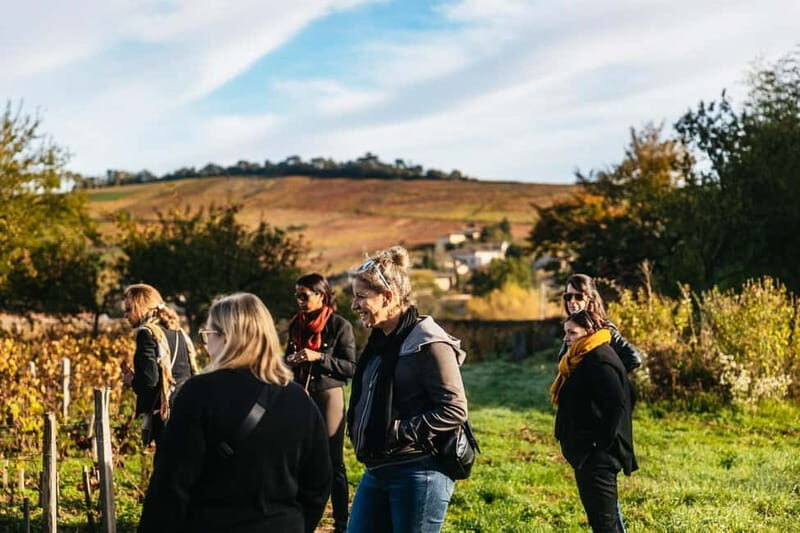 From Lyon: Beaujolais Wine Tour with Tastings - Final Thoughts: Is This Tour Worth Your While?