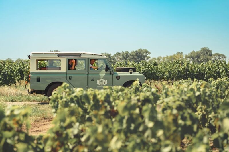 From Lyon: Burgundy Private Half Day Tour by Defender - Exploring the Burgundy Half-Day Tour: An In-Depth Look
