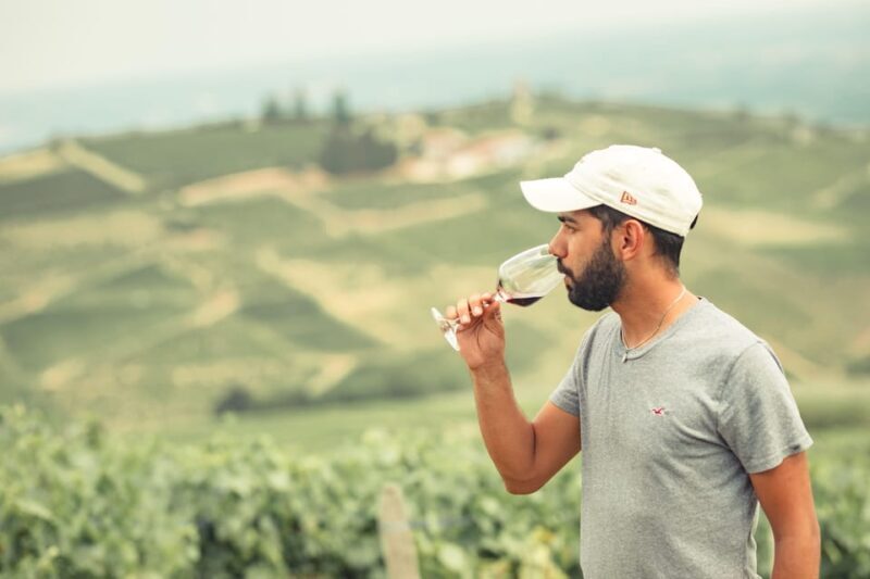 From Lyon: Burgundy Private Half Day Tour by Defender - FAQ
