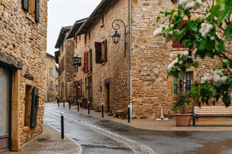 From Lyon: Golden Stones Beaujolais Wine Tasting Tour - Introduction