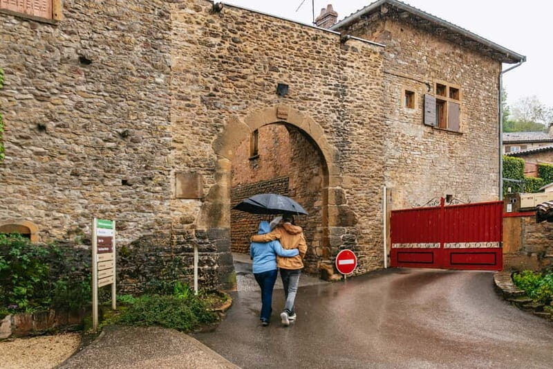 From Lyon: Golden Stones Beaujolais Wine Tasting Tour - What to Expect from the Experience