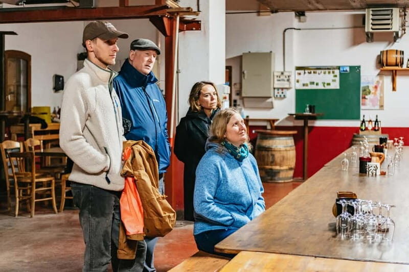 From Lyon: Golden Stones Beaujolais Wine Tasting Tour - The Value of the Tour