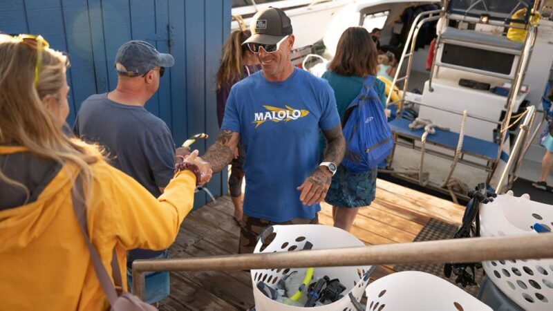 From Ma'alaea: Afternoon Whale Watch Tour Aboard the Malolo - In-Depth Look at the Whale Watch Experience