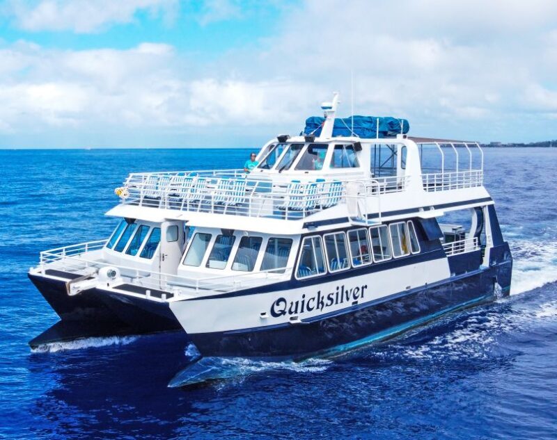 From Ma'alaea: AM Turtle Town Snorkel Aboard Quicksilver - Food and Refreshments