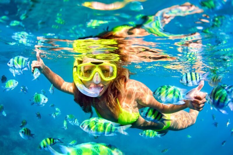 From Ma'alaea: AM Turtle Town Snorkel Aboard Quicksilver - Weather & Marine Conditions