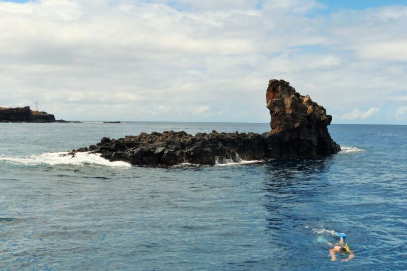 From Ma'alaea: AM Turtle Town Snorkel Aboard Quicksilver - Final Thoughts: Is It Worth It?
