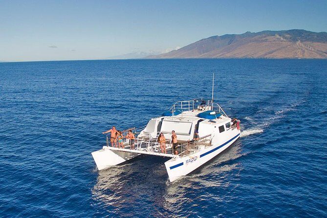 From Ma'alaea Harbor: Whale Watch Cruise Aboard the Malolo - An In-Depth Look at the Whale Watching Cruise