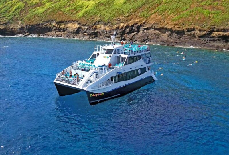 From Ma'alaea: Thanksgiving Dinner Cruise Aboard the Calypso - The Sum Up