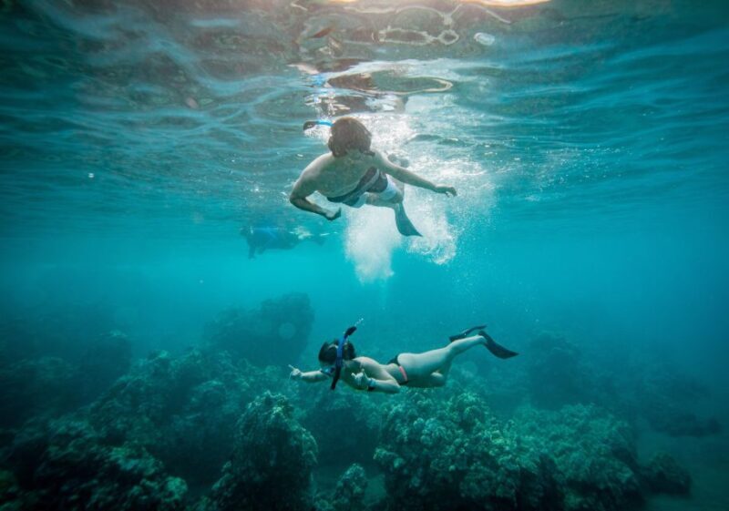 From Maalaea: Turtle Town 3-Hour Snorkel and Sail Adventure - FAQs