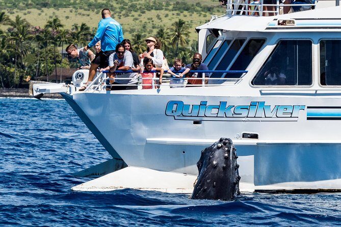 From Maalaea: Whale Watching Tour Aboard the Quicksilver - An In-Depth Look at the Quicksilver Whale Watching Tour