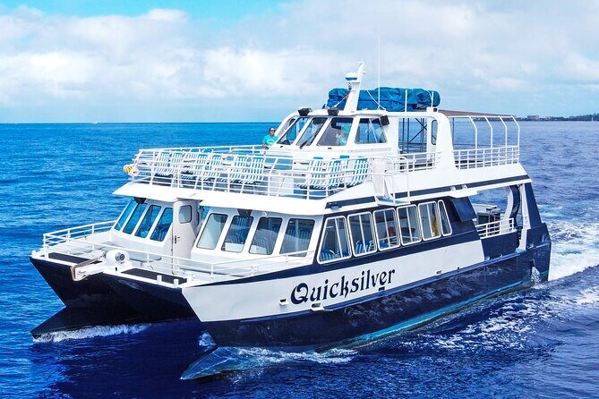 From Maalaea: Whale Watching Tour Aboard the Quicksilver - A Close Look at the Experience: What to Expect