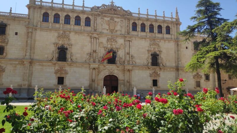 From Madrid: Alcalá de Henares & Cervantes Museum Day Trip - Frequently Asked Questions