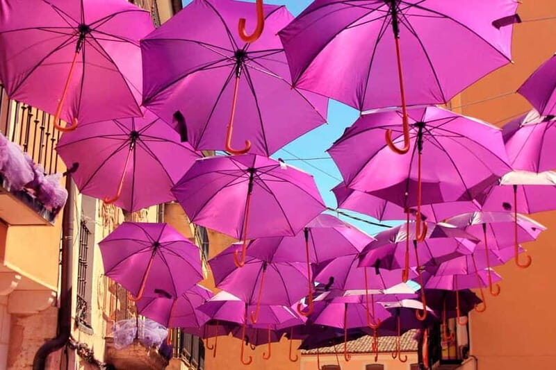From Madrid: Brihuega Lavender Fields Guided Tour - Key Points
