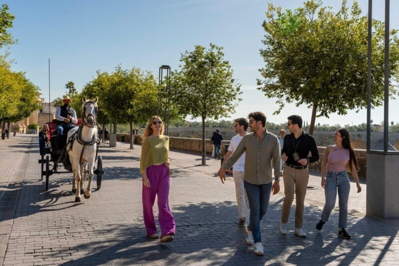 From Madrid: Córdoba Day Tour by Train - What’s Included and What’s Not