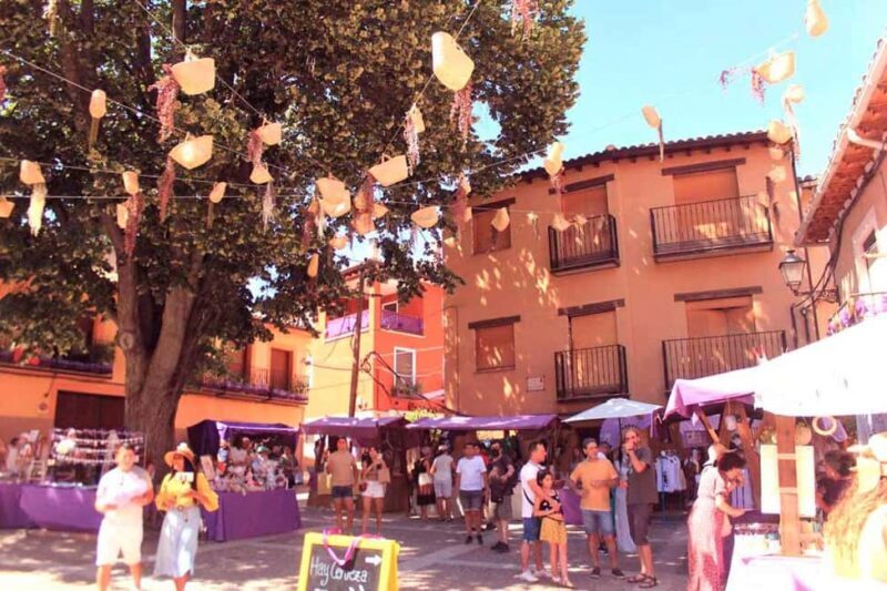 From Madrid: Day Trip to Brihuega Lavender Fields - A Deep Dive into the Experience