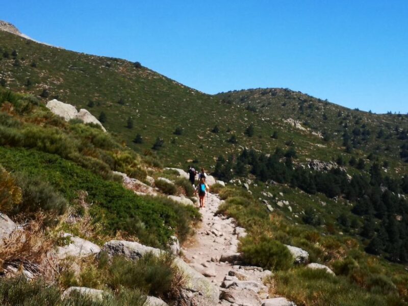 From Madrid: Day Trip to Guadarrama National Park - Who This Tour is Best For