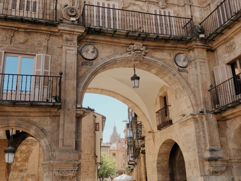 From Madrid: Day Trip to Salamanca with Private Tour - From Madrid: Day Trip to Salamanca with Private Tour
