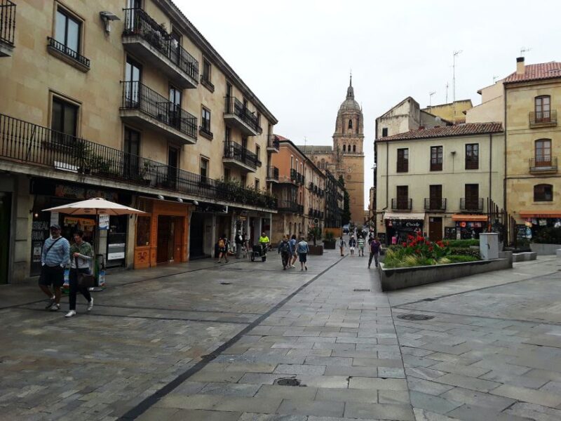 From Madrid: Day Trip to Salamanca with Private Tour - Final Thoughts