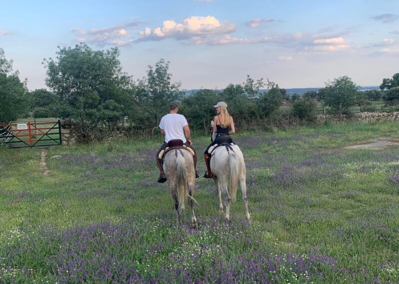 From Madrid: Horseback riding Experience - Key Points