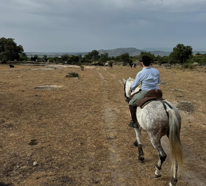 From Madrid: Horseback riding Experience - An In-Depth Look at the Madrid Horseback Riding Tour