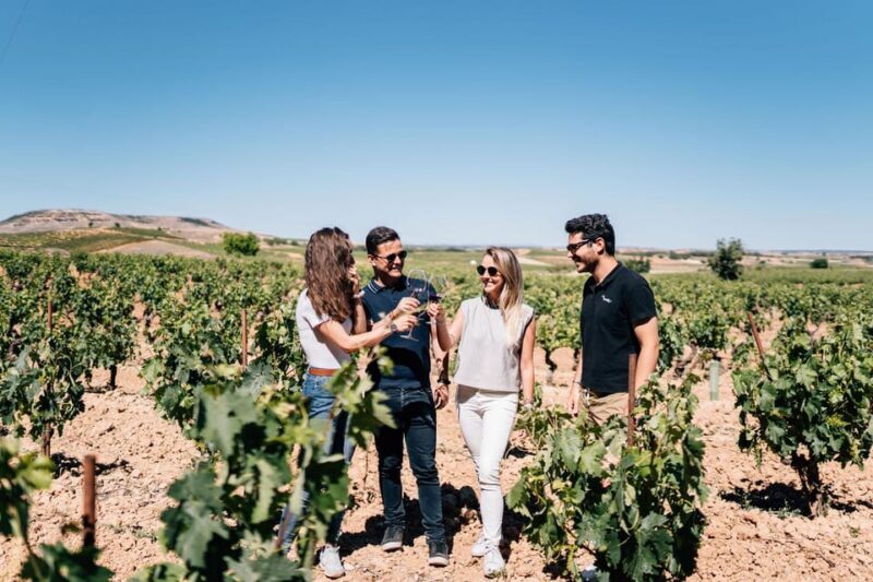 From Madrid: Ribera del Duero Winery and Segovia Tour - Key Points