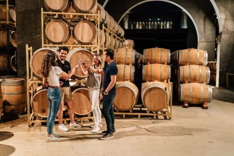 From Madrid: Ribera del Duero Winery and Segovia Tour - Who Should Consider This Tour?