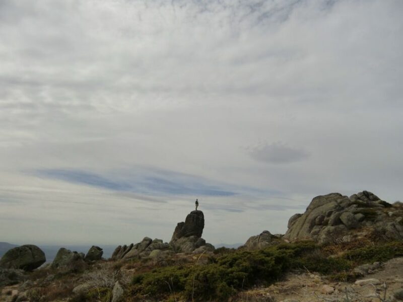 From Madrid: Sierra de Guadarrama Hiking Day Trip - An In-Depth Look at the Tour Experience