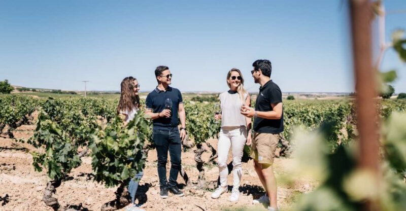 From Madrid: Traditional Villages, Winery Tour & Tapas Lunch - Key Points