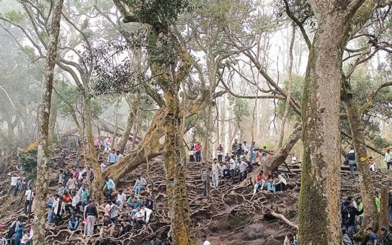 From Madurai: Kumbakarai Falls & Kodaikanal Full-Day Tour - Key Points