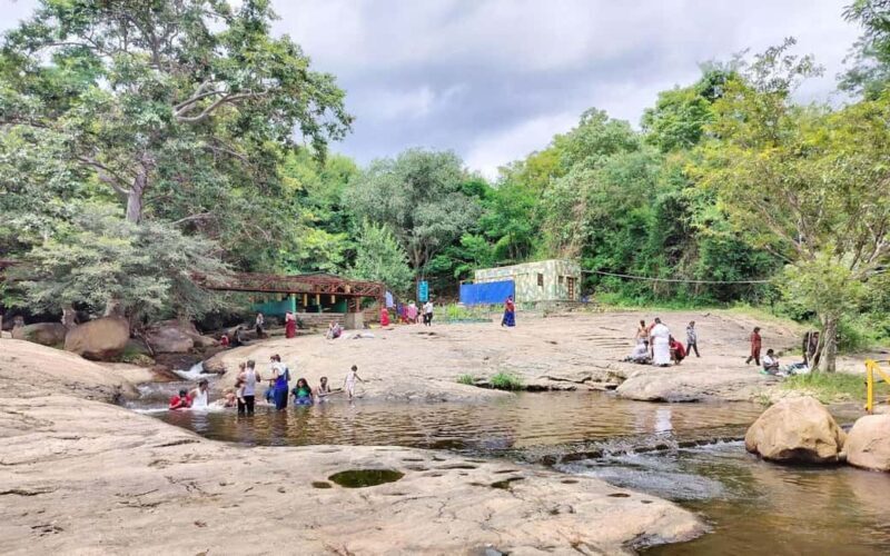 From Madurai: Kumbakarai Falls & Kodaikanal Full-Day Tour - The Sum Up